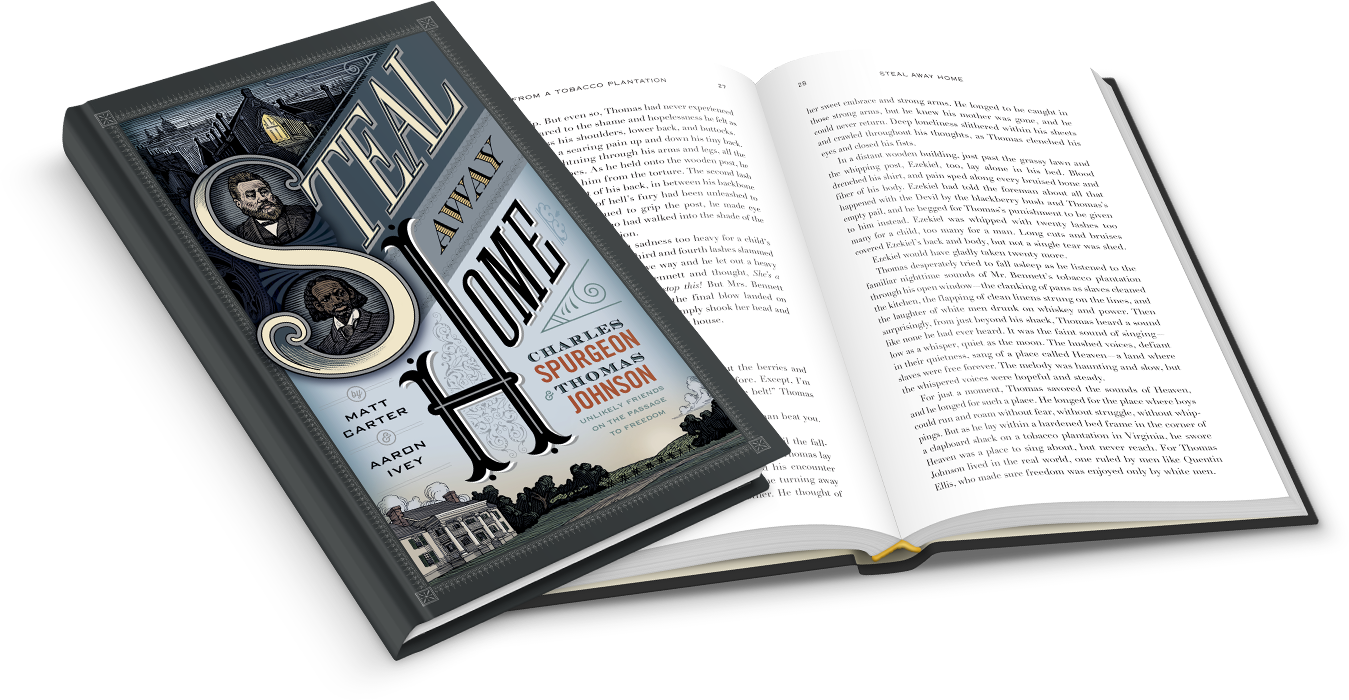 Steal Away Home – Book Review – Seeing God